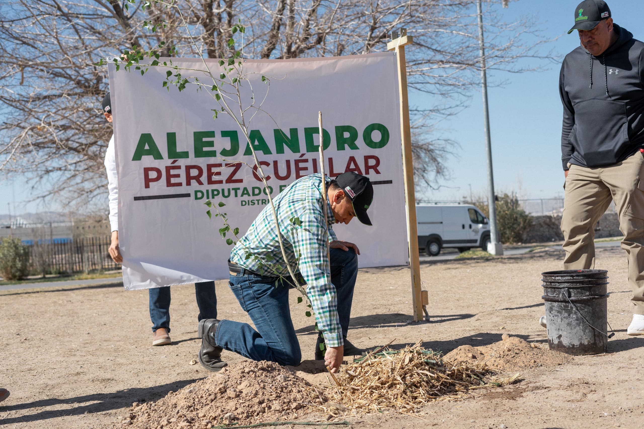 Retoma diputado Alejandro Pérez Cuéllar trabajos de reforestación de ...
